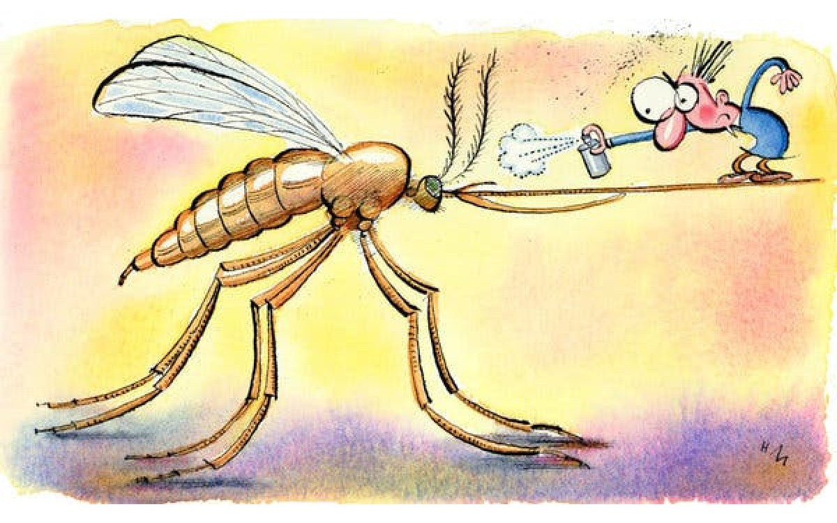 Let’s re-learn our insect repellent technique!– Thermacell Singapore